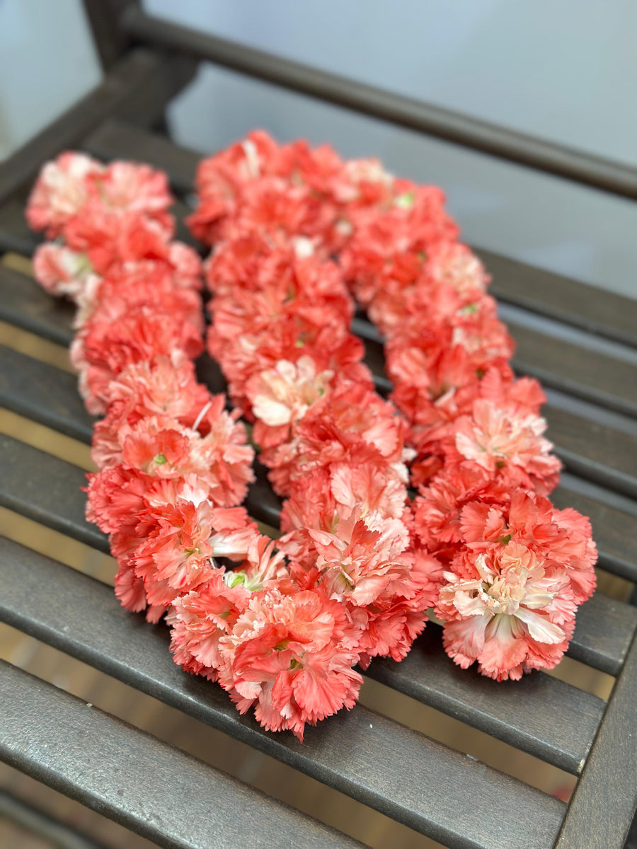 Carnation Strings CS-015 – Rithika Flowers Wembley